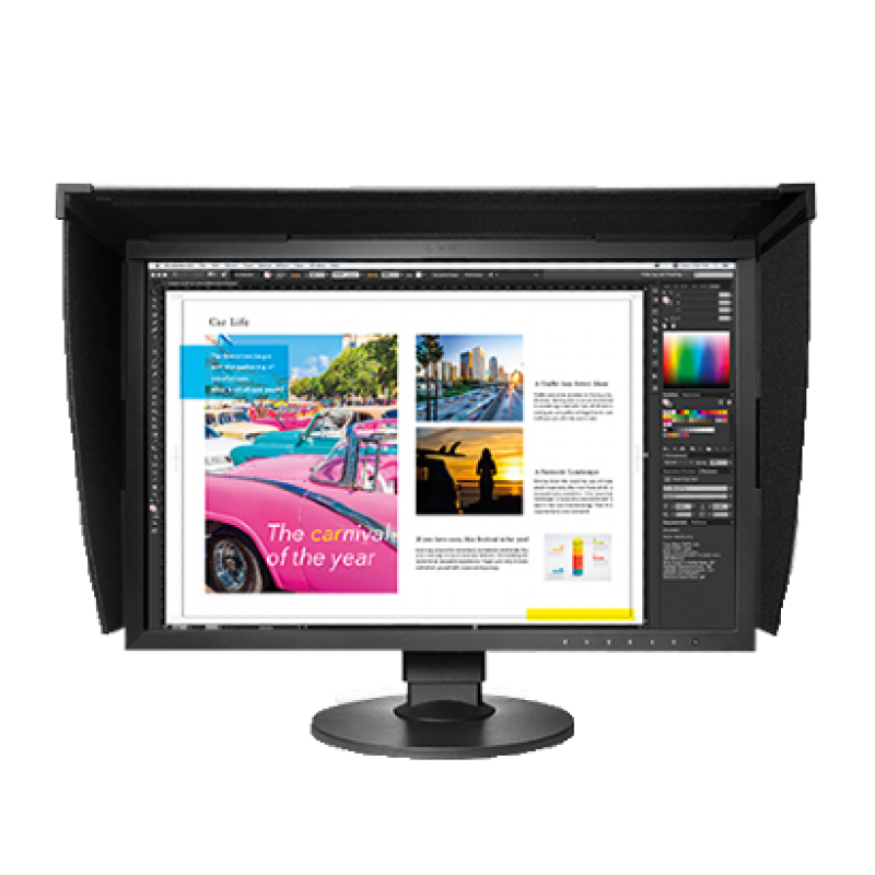 Eizo ColorEdge Monitor CG2420